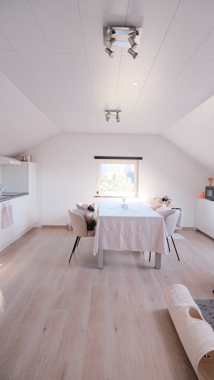 2-kamerappartement In Lennik, Nabij Brussel - Sint-Pieters-Leeuw