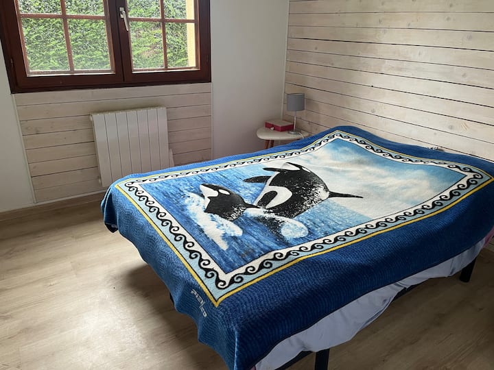 Chambre à Louer En Lit Simple Ou Double - Langon