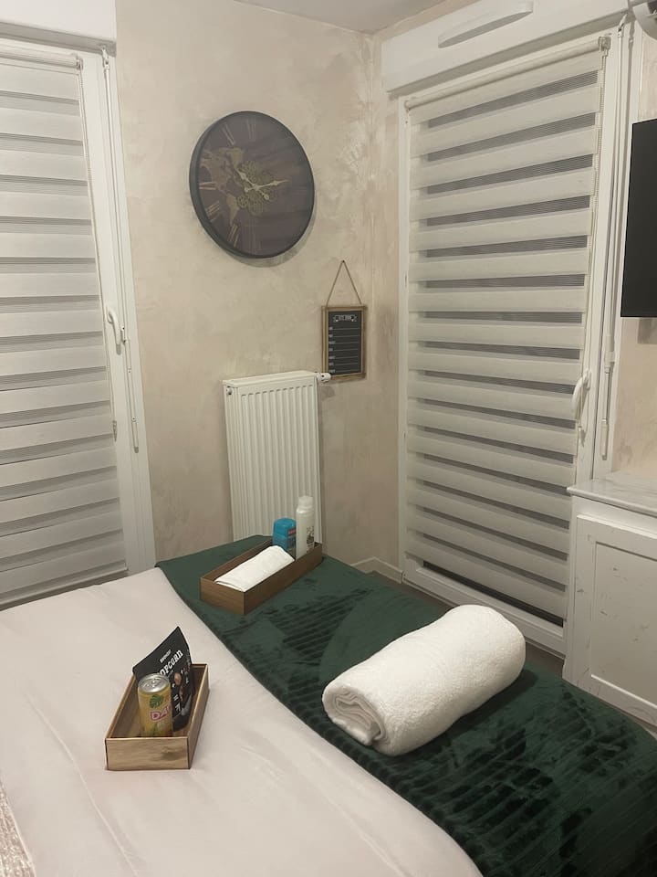 Très Belle Maison Avec Jardin - Lille