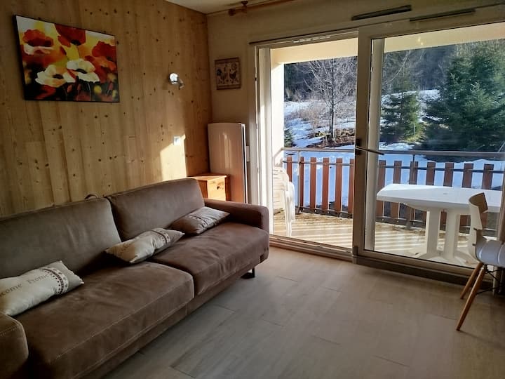 Appartement Cosy Proche Pistes & Commerces - Prémanon