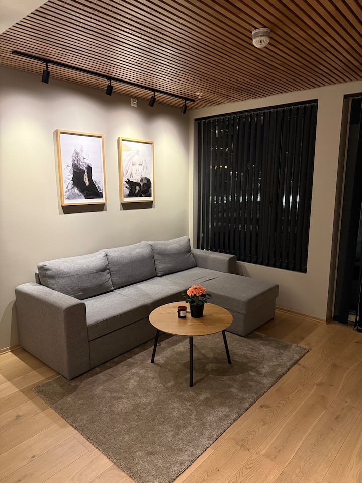 Cozy Studio In Lilleby – Close To City - Trondheim