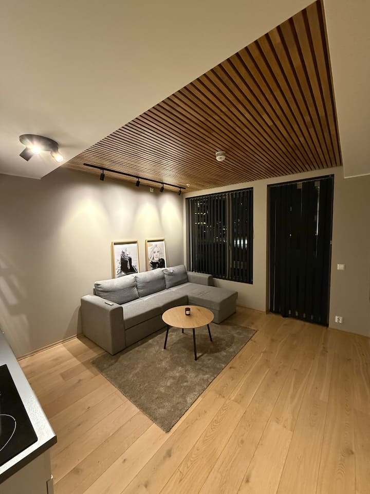 Cozy Studio In Lilleby – Close To City - Trondheim
