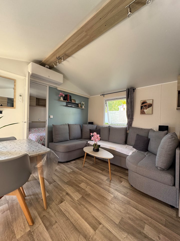 Piscines Etang Activités Mobil Home Climatisé/286 - Onzain