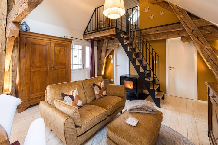 Gîte 4 éToiles 4 Personnes « À Toi L'aviateur » - Haut-Rhin