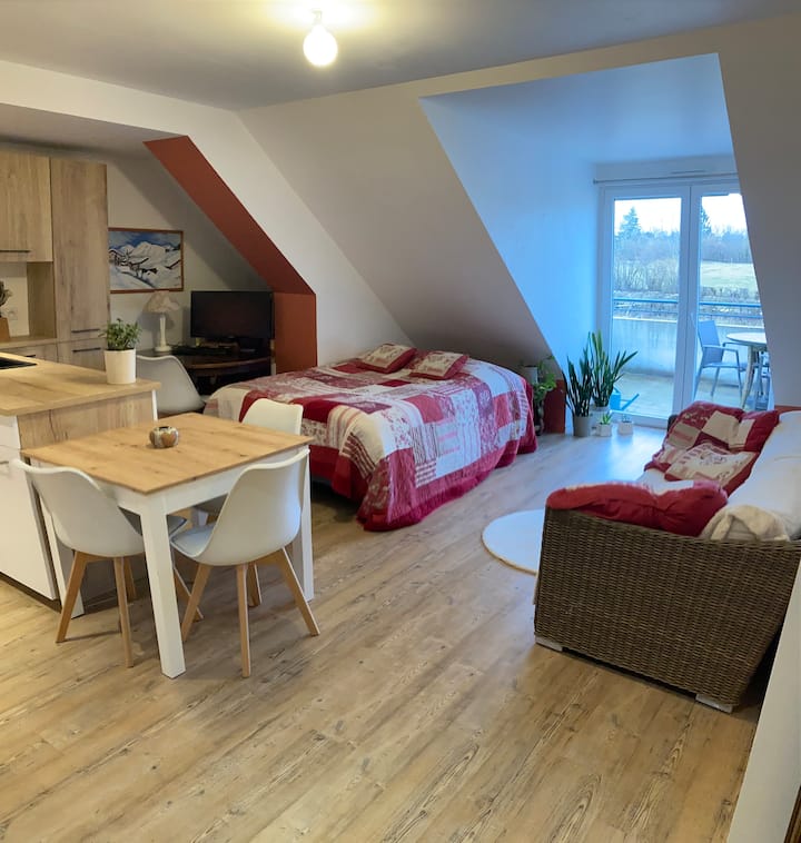 Ravissant Studio à Deux Pas De Pontarlier - Pontarlier