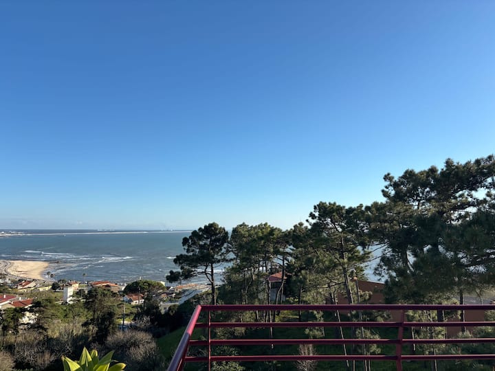 Vip Atlântico - Figueira da Foz