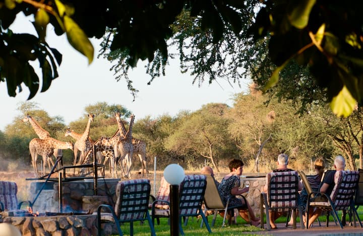 Moholele - Private Farm In Southafrican Wilderness - Alldays