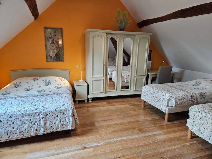 Chambre D'hôtes Familiale Hirondelle - Saint-Aignan