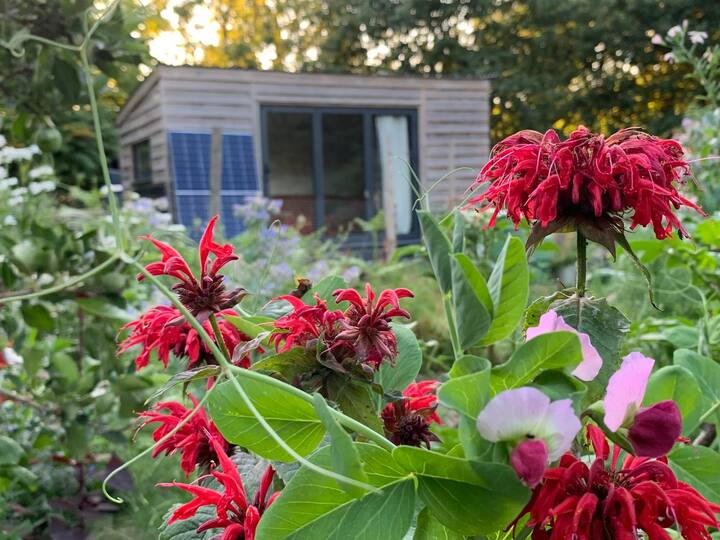 Woodland Cabin, Hay-on-wye - Hay-on-Wye