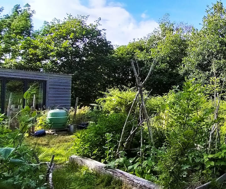 Off-grid Woodland Cabin - Hay-on-Wye