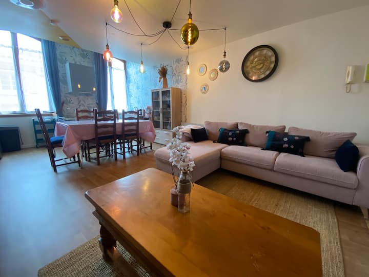 Appartement T3 Lumineux Hyper-centre Niort, 6 Pers - Marais poitevin