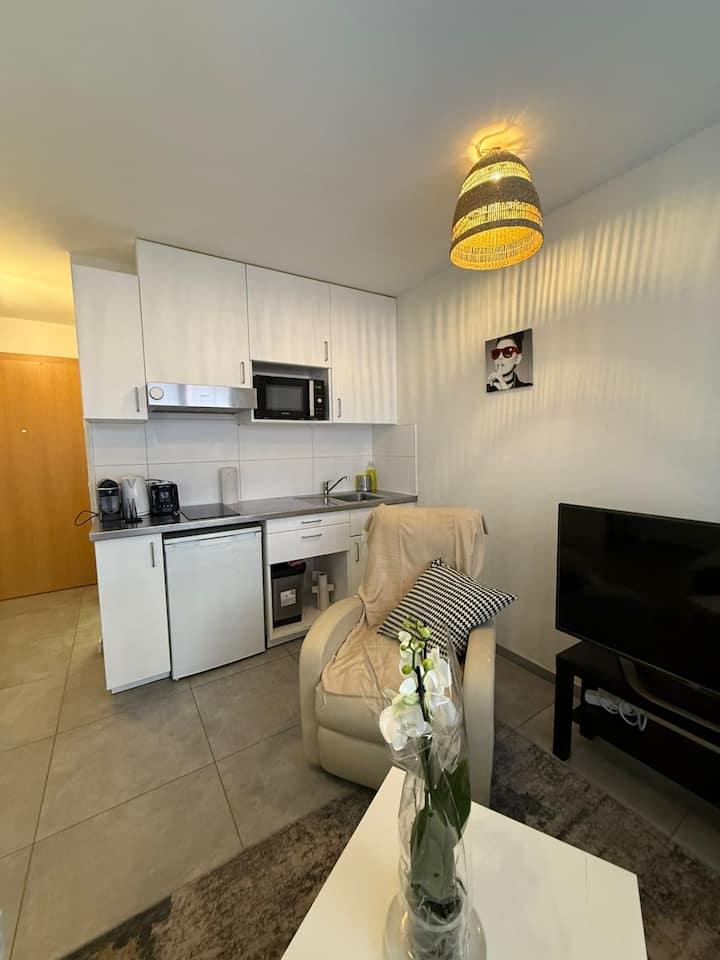 Charmant Studio Au Cœur De Lausanne - Crissier
