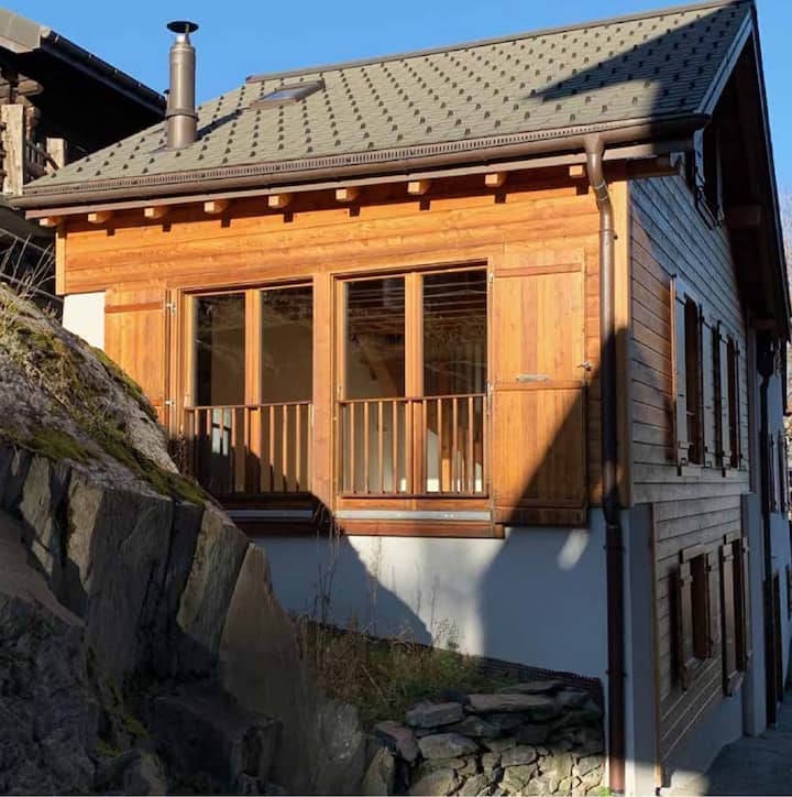 Triplex Alpin De Charme - Les Marécottes - Martigny