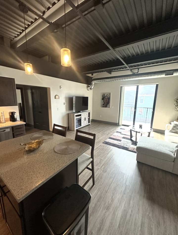 203 - New Luxury Downtown Condo - Kalamazoo