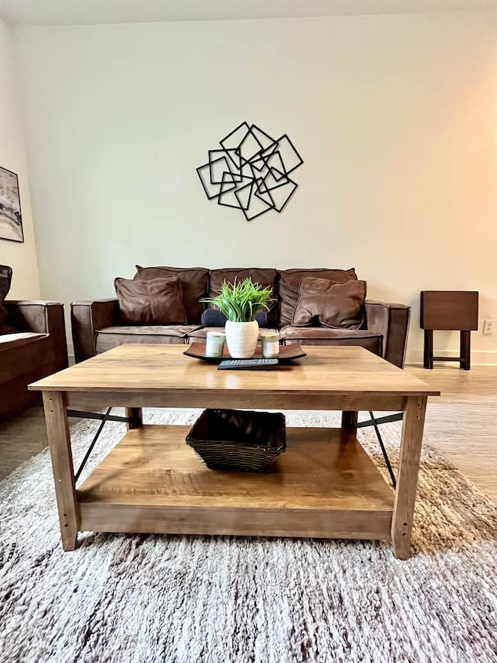 Spacious Midtown 1br Apartment - Houston, TX