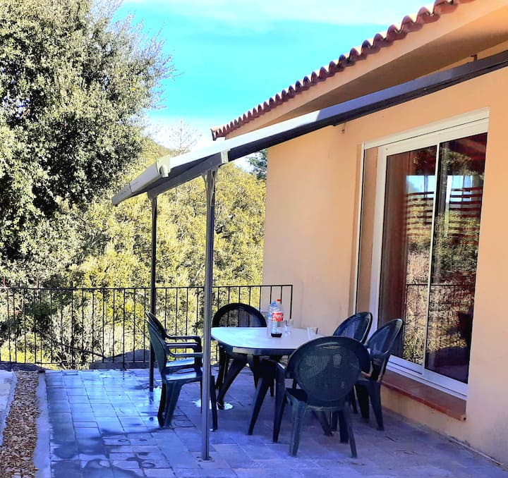 Haut De Maison Muratello De Porto-vecchio - Lecci