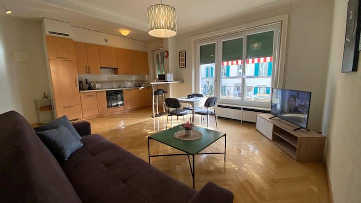 Large Apartment 7 Minutes Walking To Train Station - Lausanne