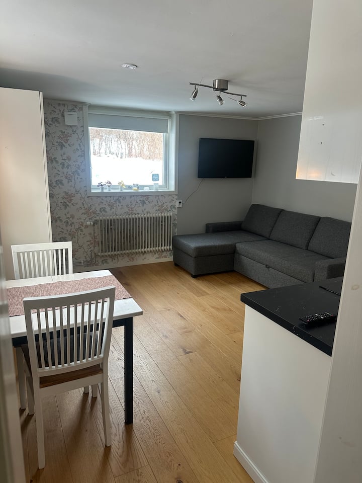 Liten Mysig Lägenhet I Falun, Nära Bad Och Natur - Falun