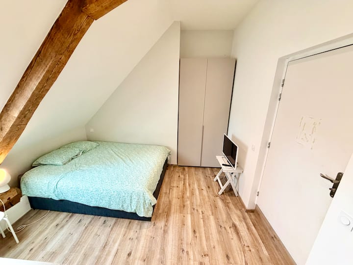 Studio Au Grand Cœur D'annecy - Epagny