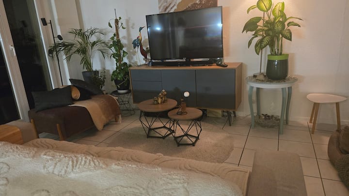 Antiguo, Elegante Y Acogedor Departamento. - Berne