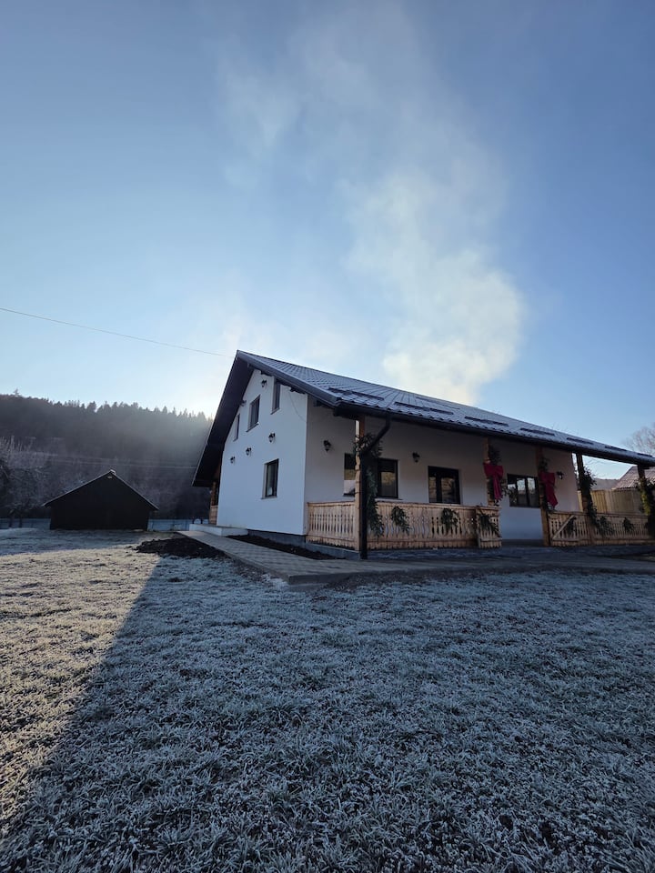 Casa Andreas - Județul Botoșani