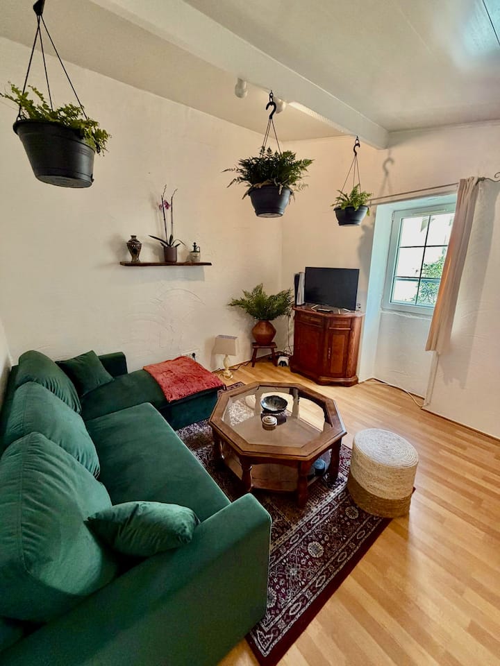 Maison De Village Calenzana - Départ Du Gr 20 - Forêt de Bonifatu