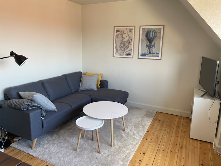 Hyggelig Lejlighed I Centrum - Odense