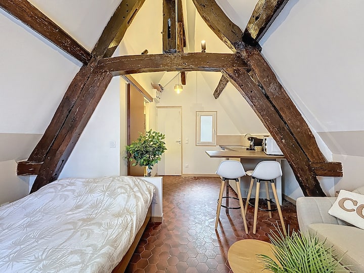 Studio Centre Historique - Ruan