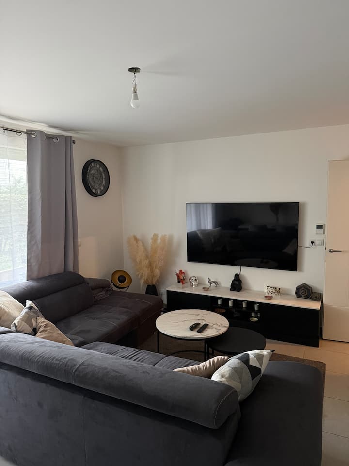 Appartement Cosy - Annemasse