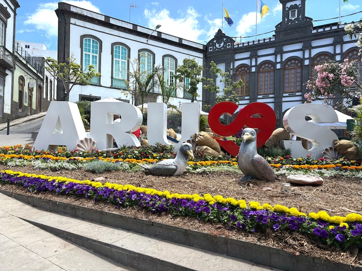 Casa Isabel  Centro Histórico +Terraza - Arucas