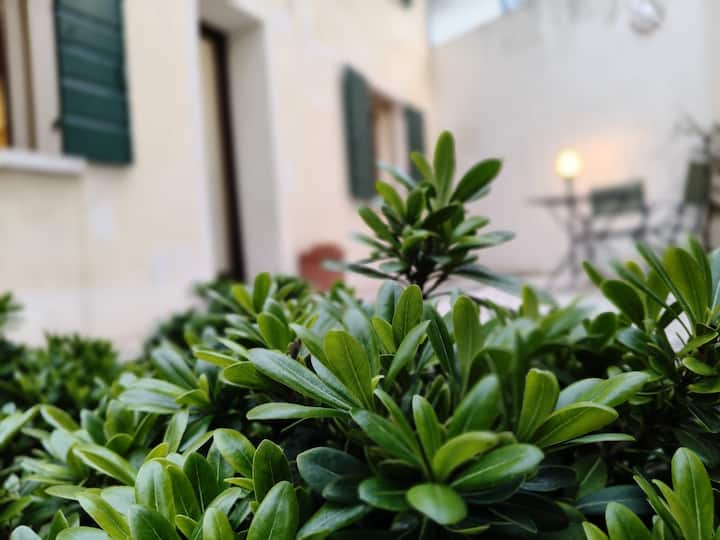 Appartamentino Singolo A Piano Terra In Centro - Treviso