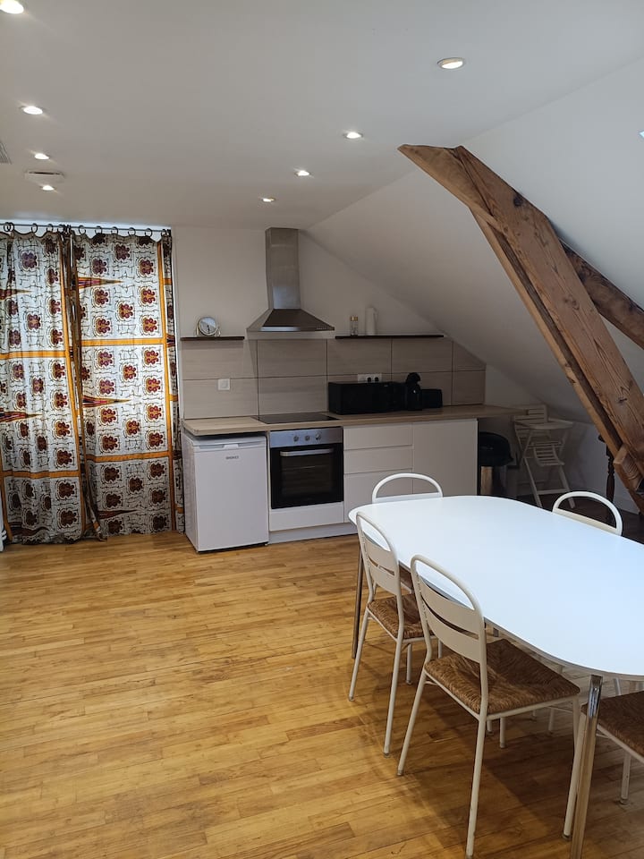 Grand Appartement 90m2 - 리모주