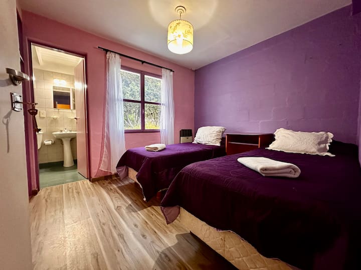 Araucaria 6 - El Calafate