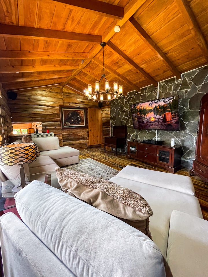 Cabin In The Volcano · La Pampa Argentina - San Salvador