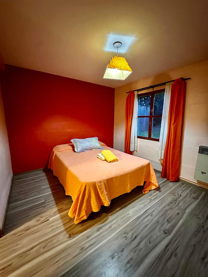 Araucaria 8 - El Calafate