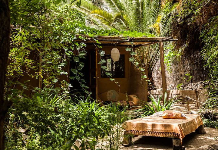 Cabaña Bosque, Devamani Elqui - Paihuano