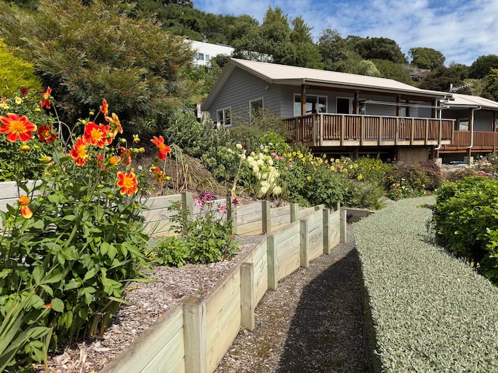 Modern Cottage With Stunning Views & Deck - Dunedin