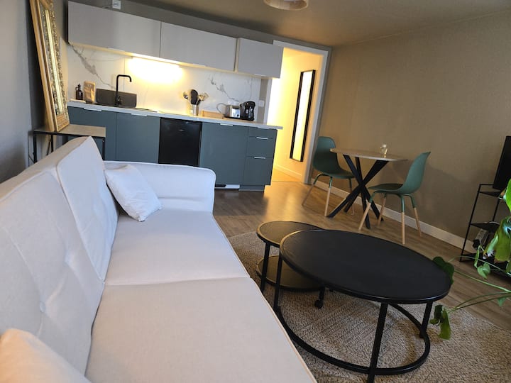 Appart Charme Proche Centre - Schiltigheim