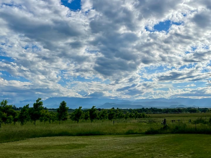 Pecan Tree Haven - Winterton