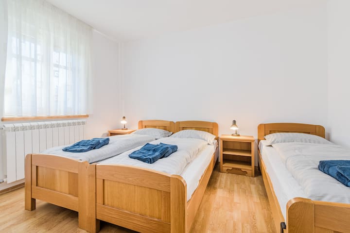 Hosnar House (07) | Apartment For 4 - Bovec