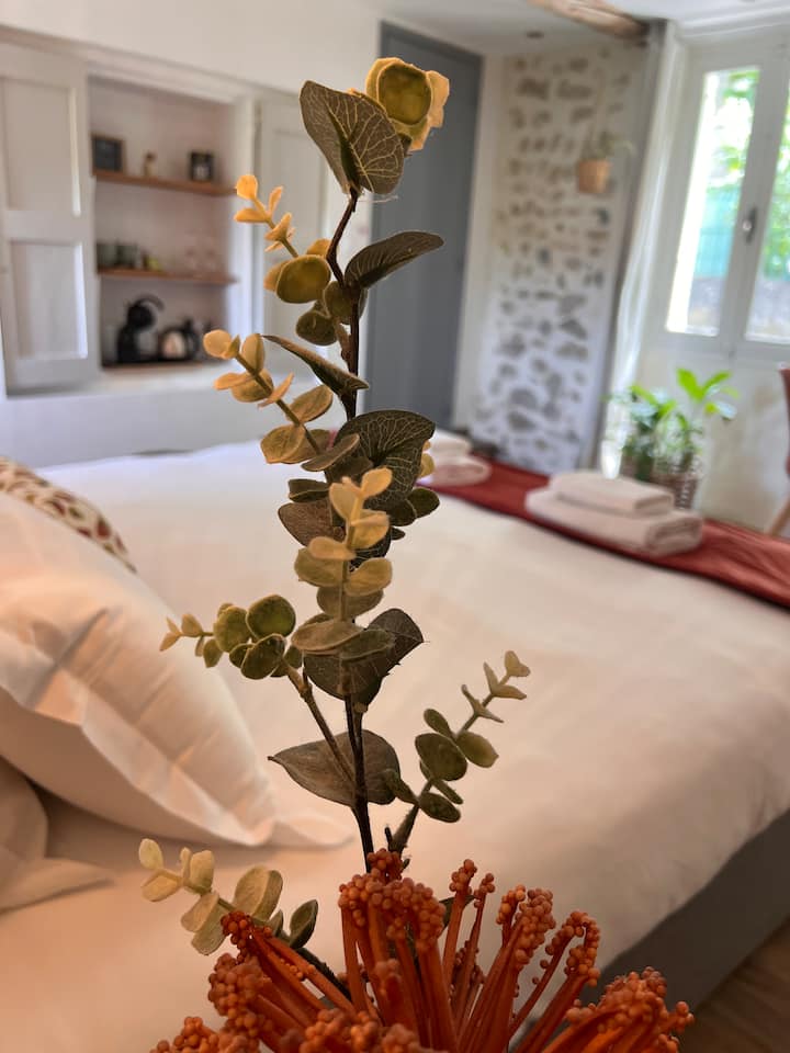 Confort Rez-de-chaussée / Petit Déjeuner Offert - Vaison-la-Romaine