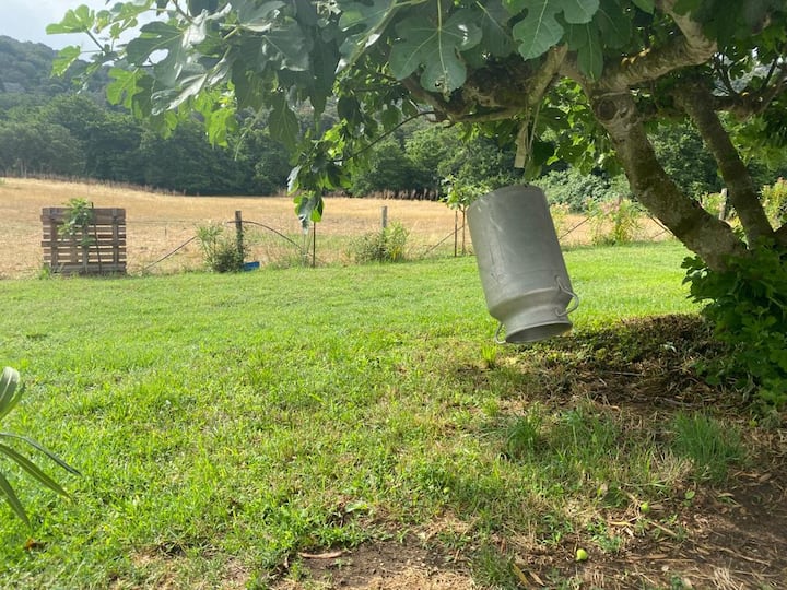 Bergerie En Pleine Nature - Figari