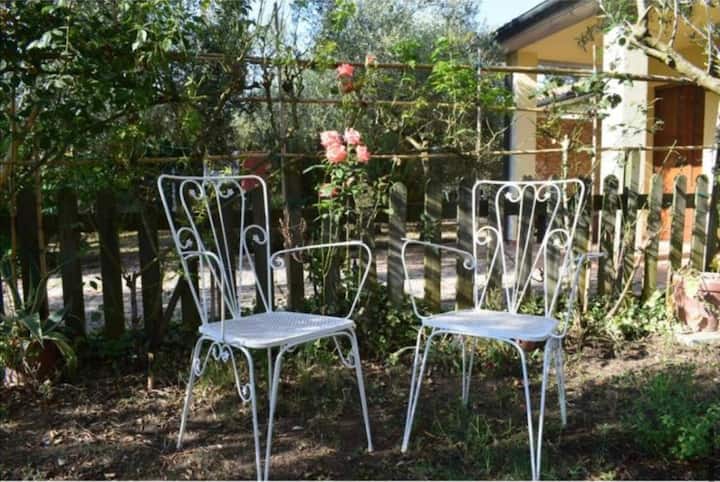 Appartamento “Stellino” Vicino Baratti - Piombino