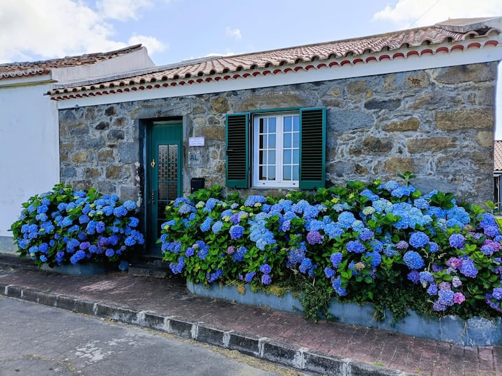 Paraíso Verde - Nordeste