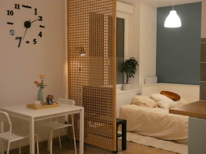 Grand Lit - Parking Dans Rue - Spacieux - Lumineux - Reims