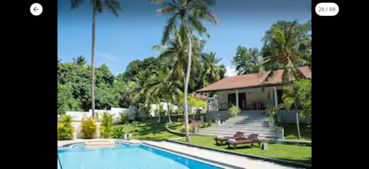 Coconut Grove Villa - Luxury Villa In Hikkaduwa - Hikkaduwa