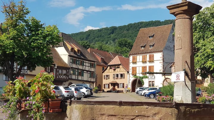 Gîte "La Fontaine" Au Cœur Du Vignoble Alsacien - Osenbach