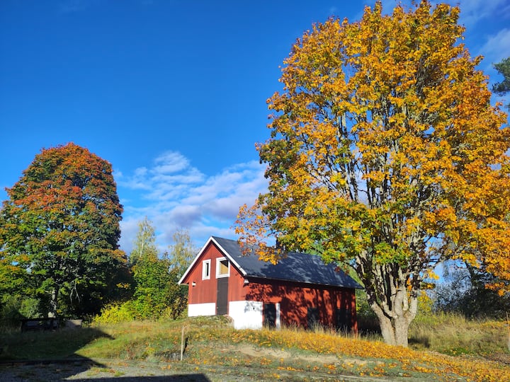 Rymligt Loft Med Vedkamin, Lugnt Och Lantligt Läge - Suecia