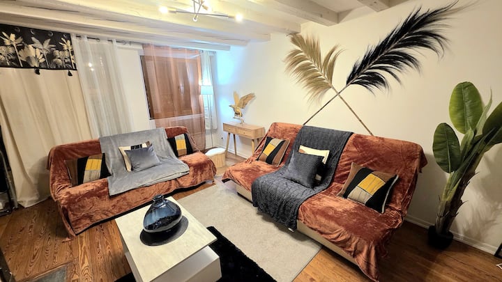 T3 Familial Hypercentre Aix Les Bains Avec Balcon - Aix-les-Bains