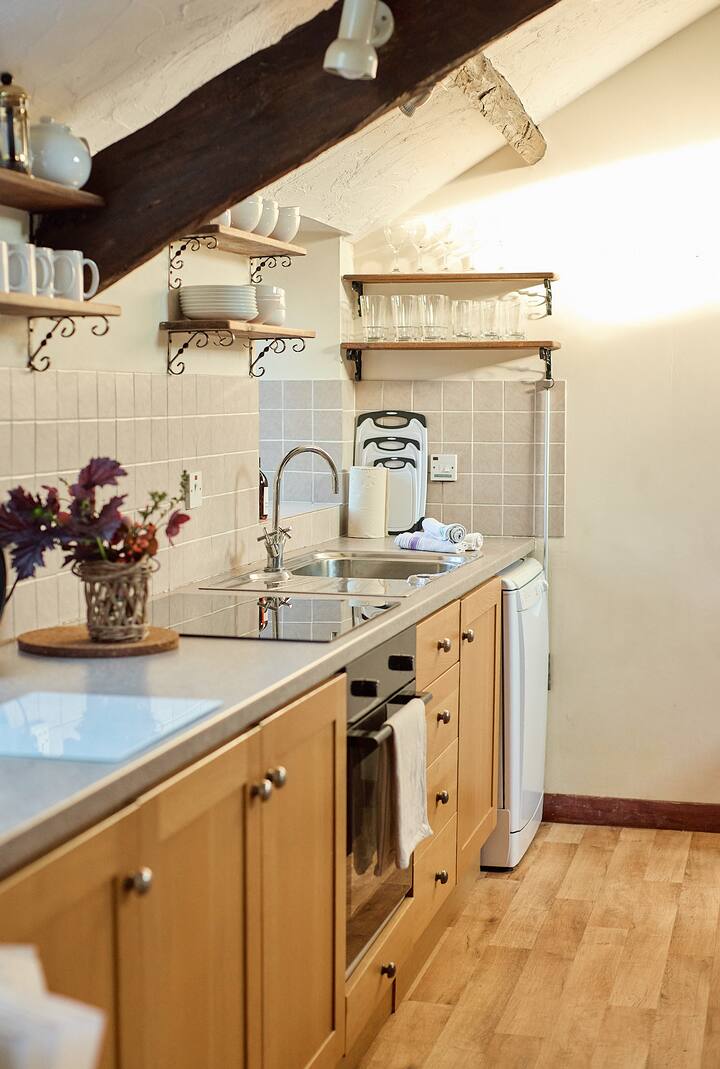 Holiday With The Horses - South Molton